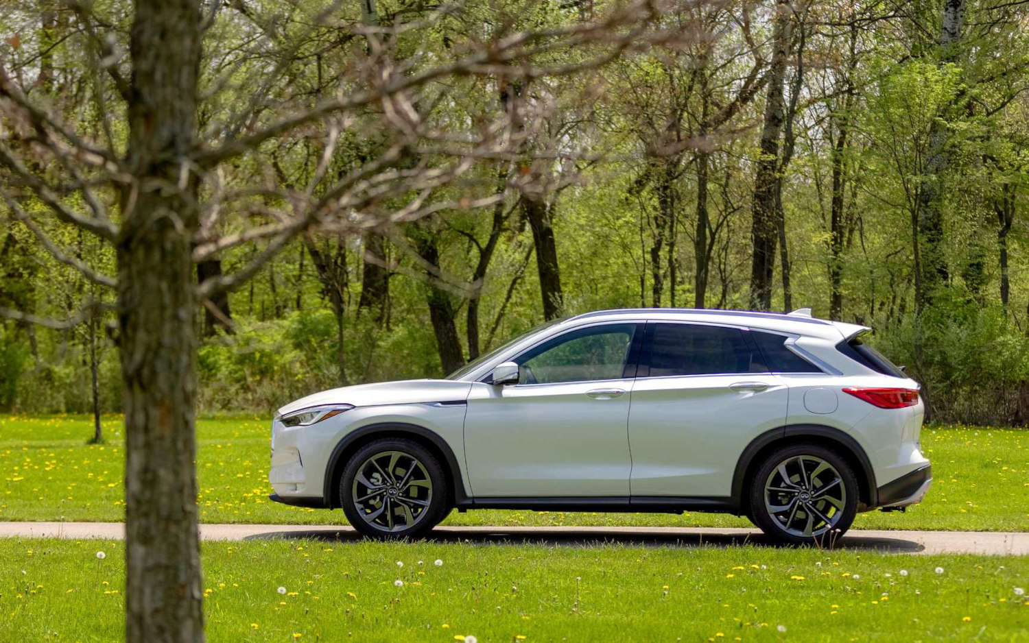 Infiniti QX50 Luxe 2022 | SUV Drive